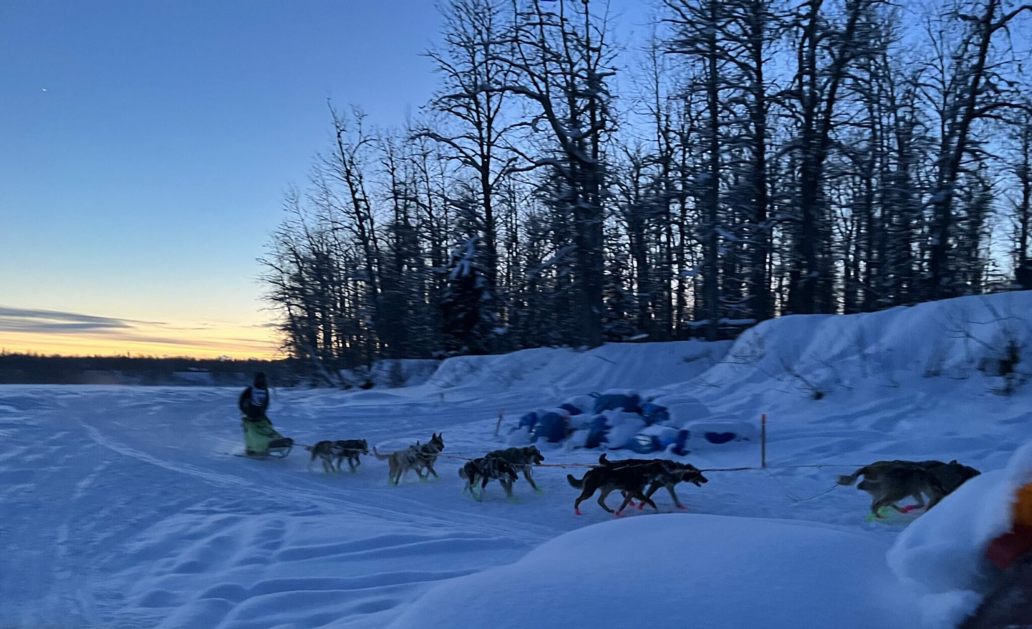 Serious Sport – Iditarod
