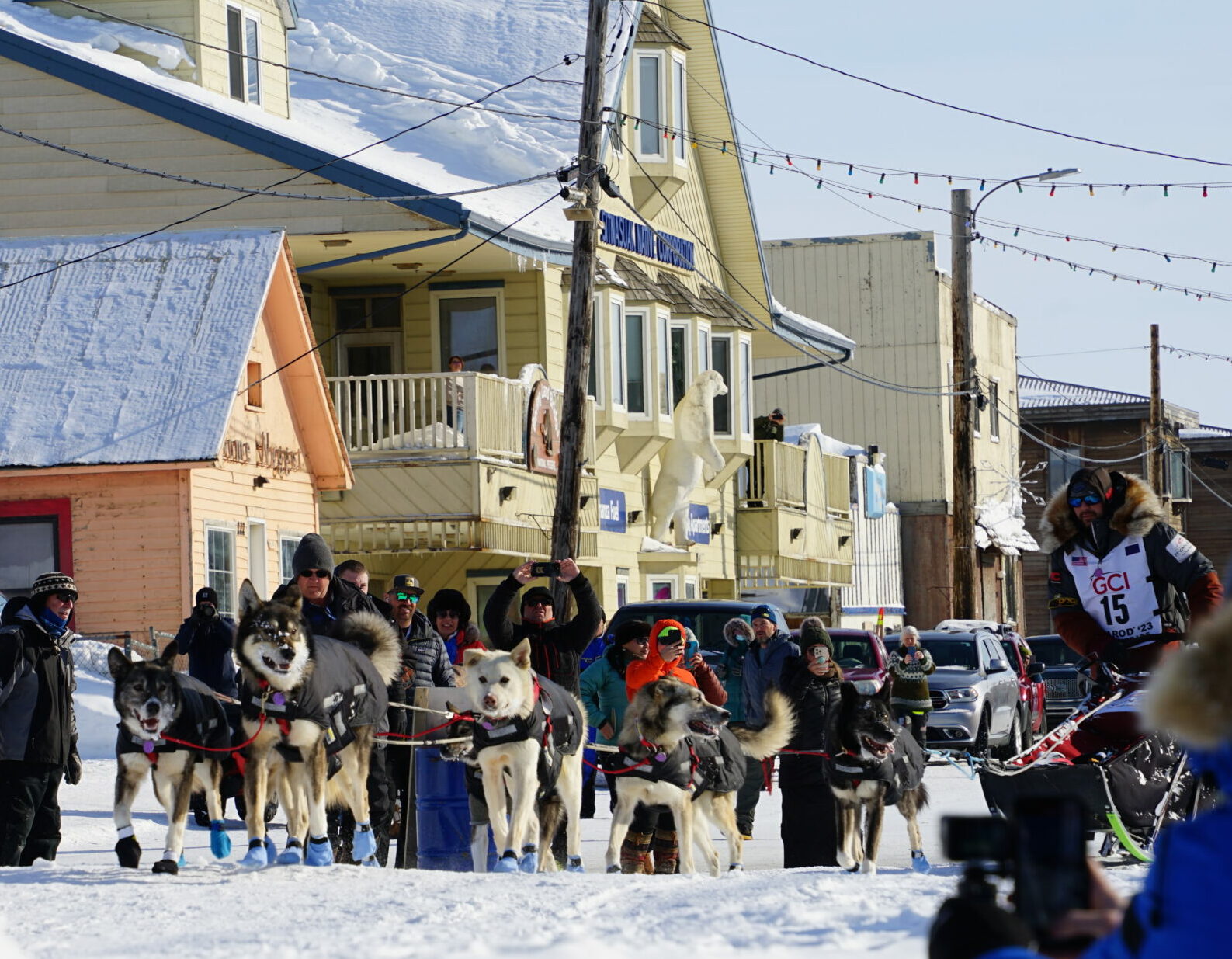 Redington’s Champion Run – Iditarod