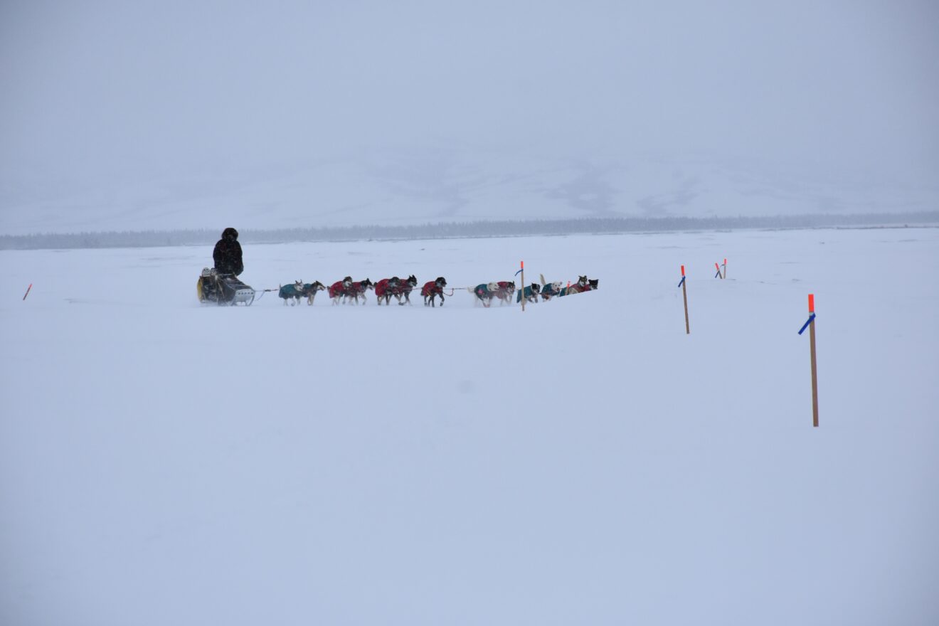 Which Sled Runner Plastic? – Iditarod