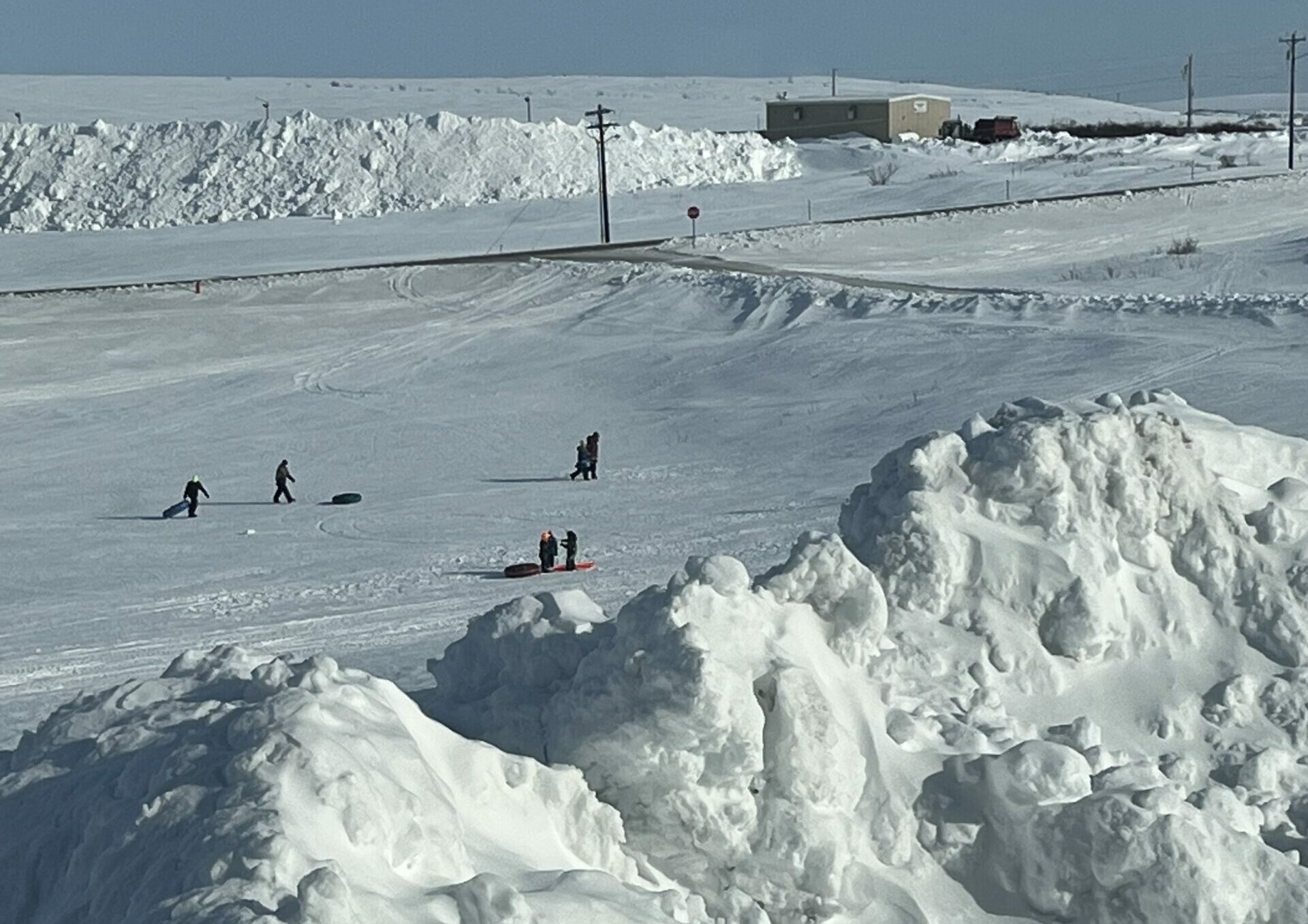 Rookie Run – Iditarod