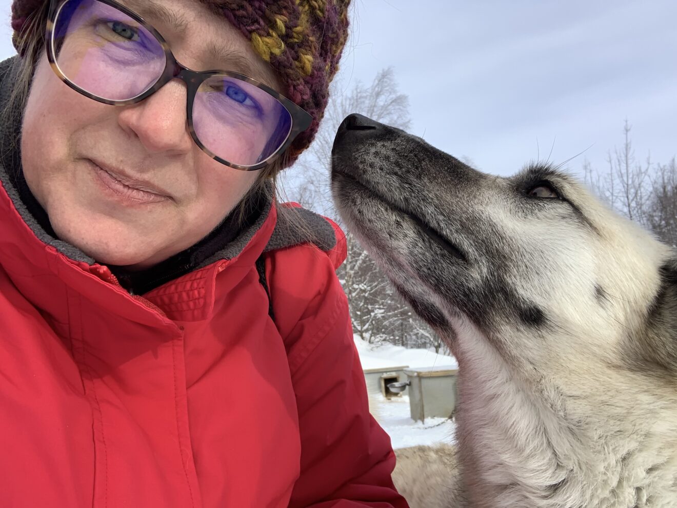 Meet Kate – Iditarod