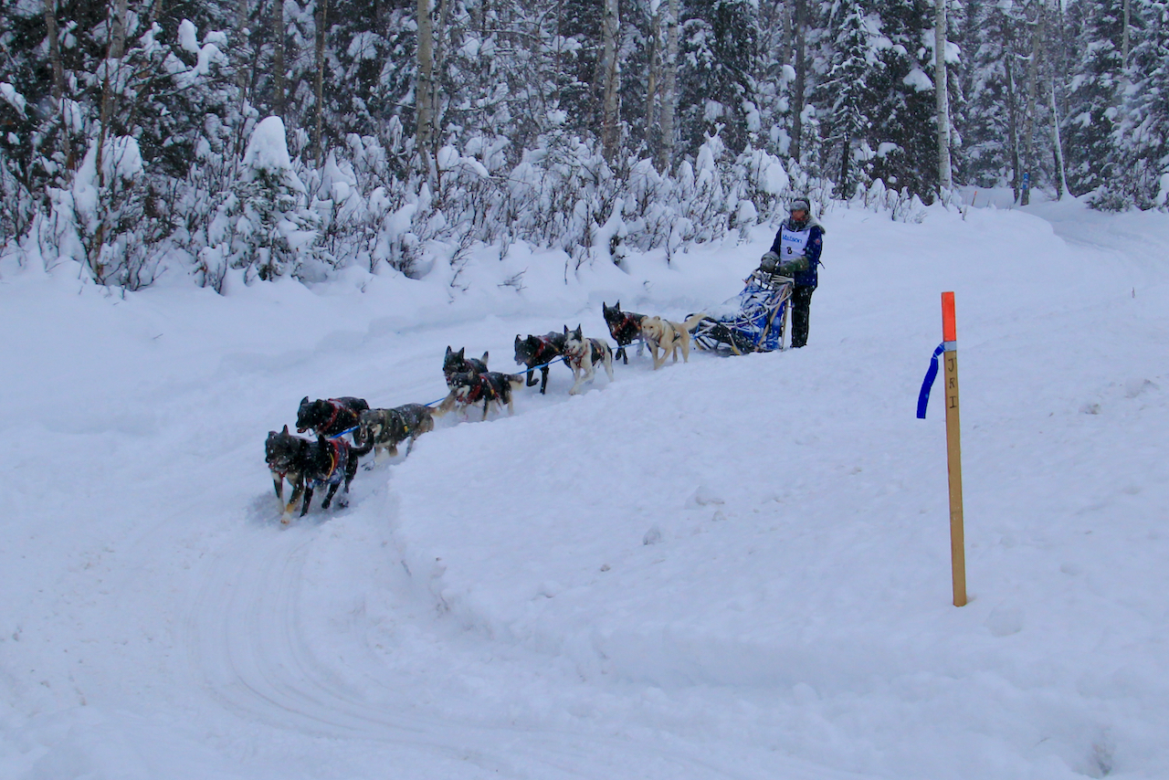 “Musher Campouts:” Jr. Iditarod Math – Iditarod