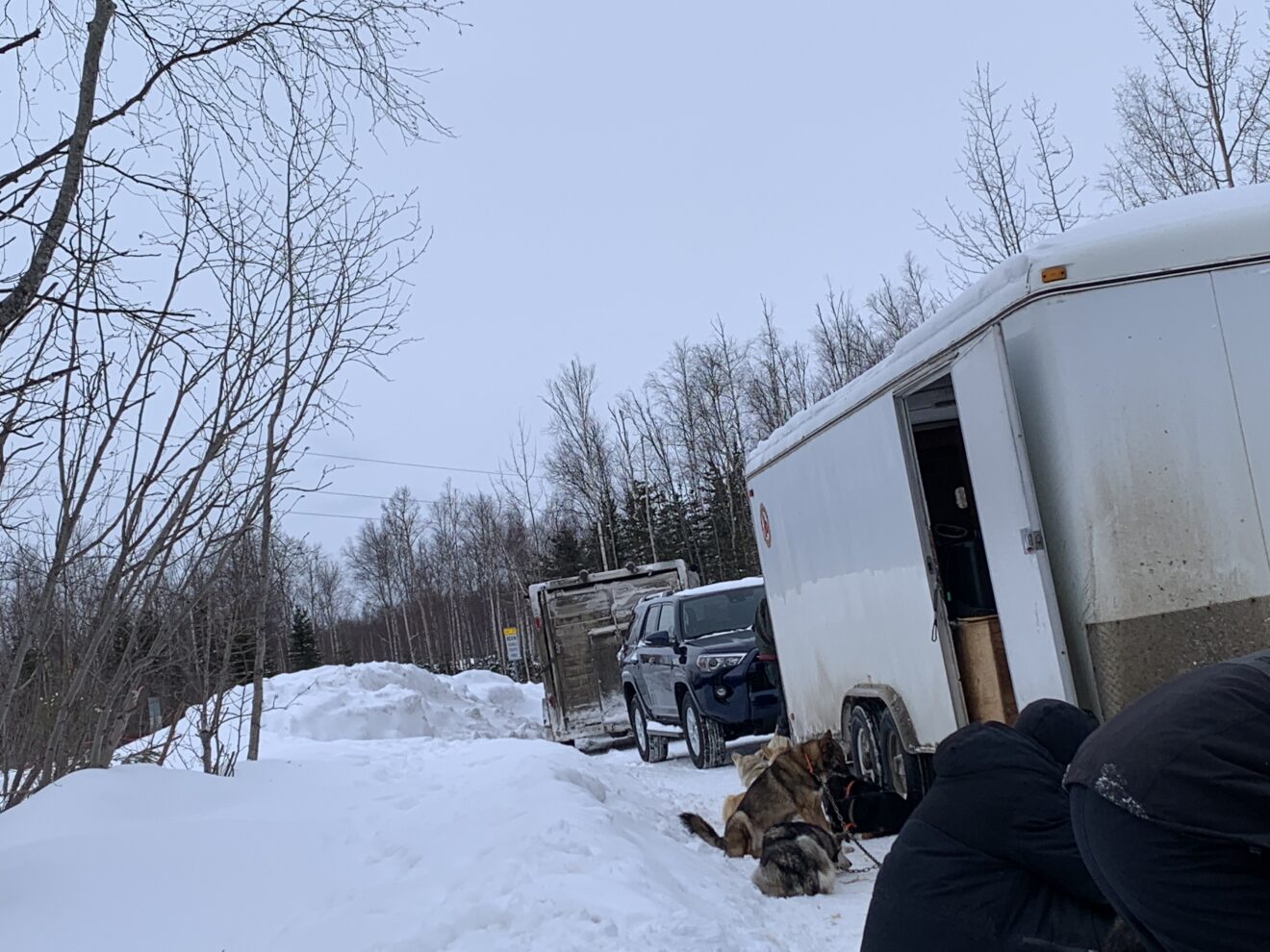 “Denali Highway:” Examining Iditarod Photographs Using Elements of Art ...