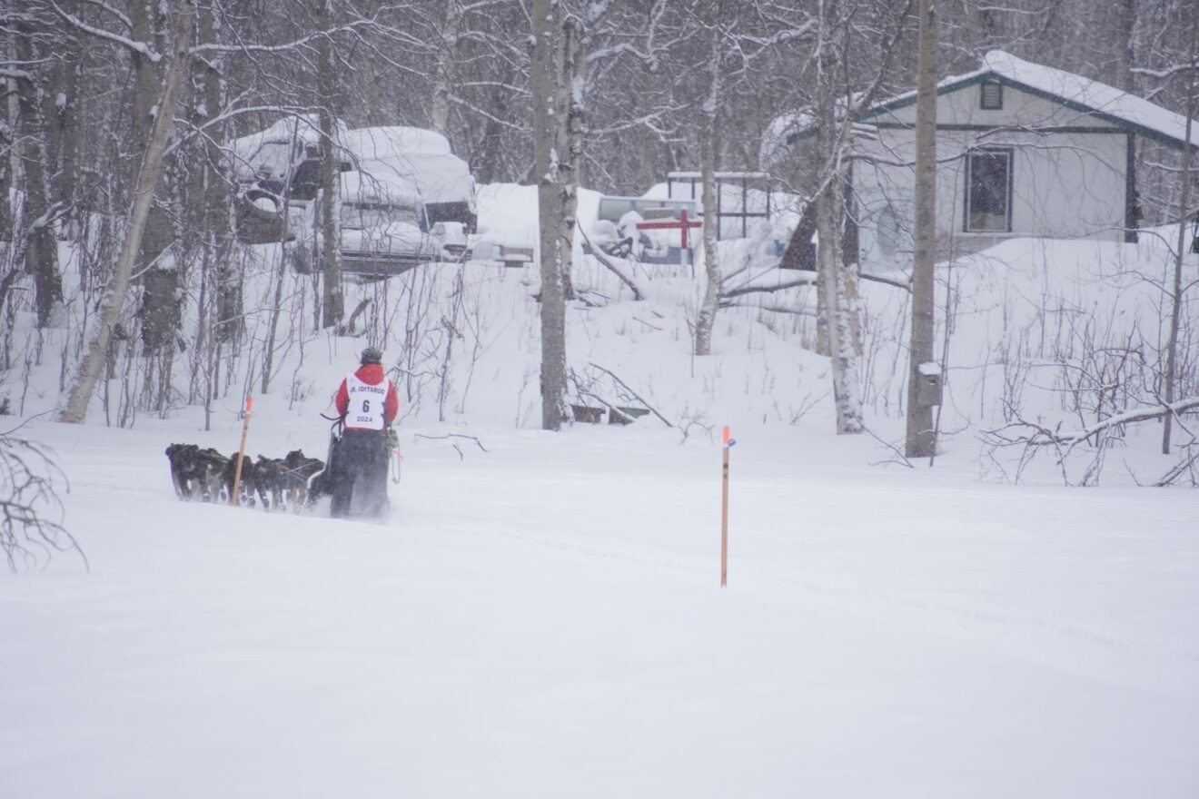Jr. Iditarod Trail: Authentic Learning Experiences – Iditarod
