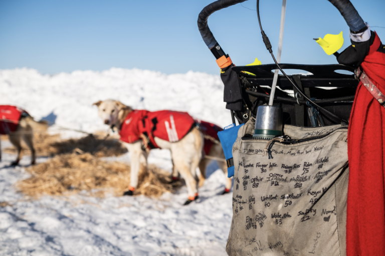 Eye on the Trail: Siri Pics – Matt Hall in UNK – Iditarod