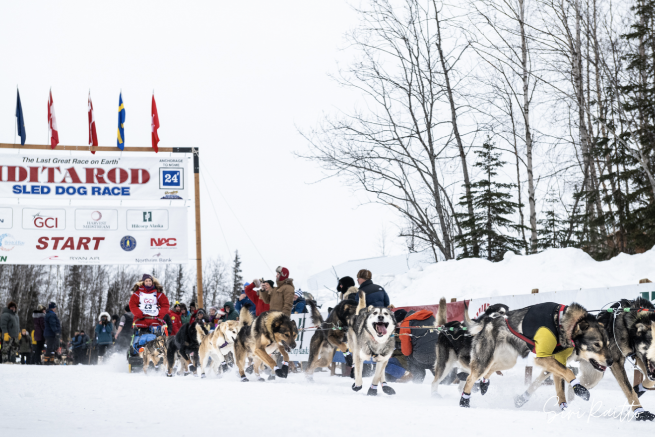 Eye on the Trail: Siri Pics From Willow – Iditarod