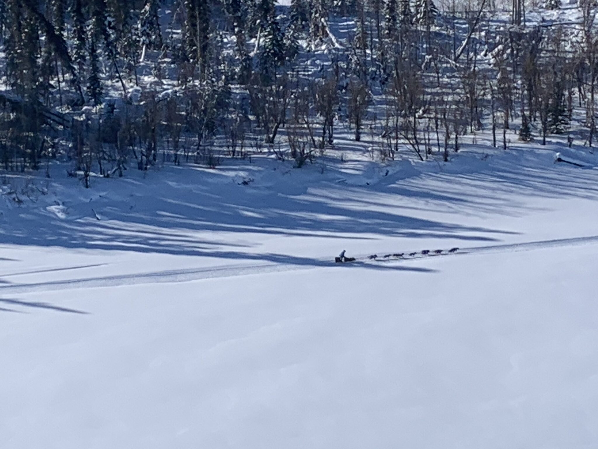 Iditarod from the Air: Big Ideas – Iditarod