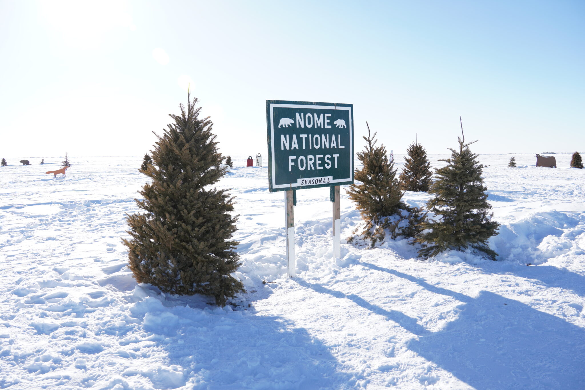 Writing Down the Miles – Iditarod