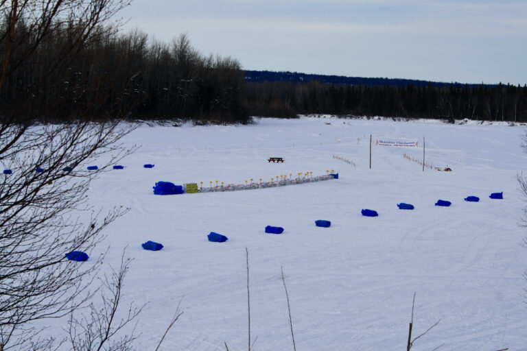 Skwentna Checkpoint: Celebrate Your River Crew – Iditarod