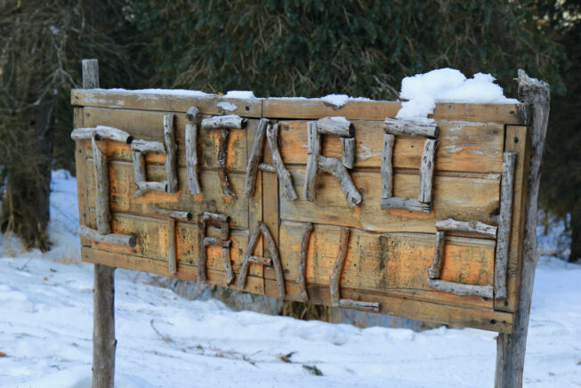 Eye on the Trail: Back of the Pack at Finger Lake – Iditarod