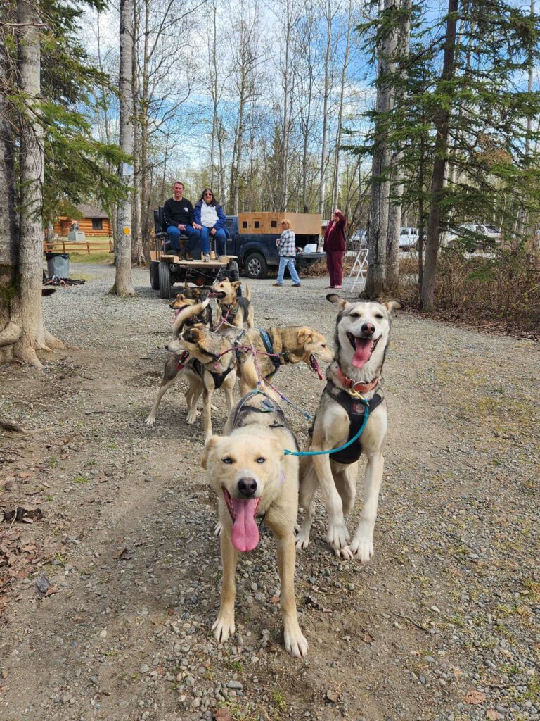 Plan Your Visit – Iditarod