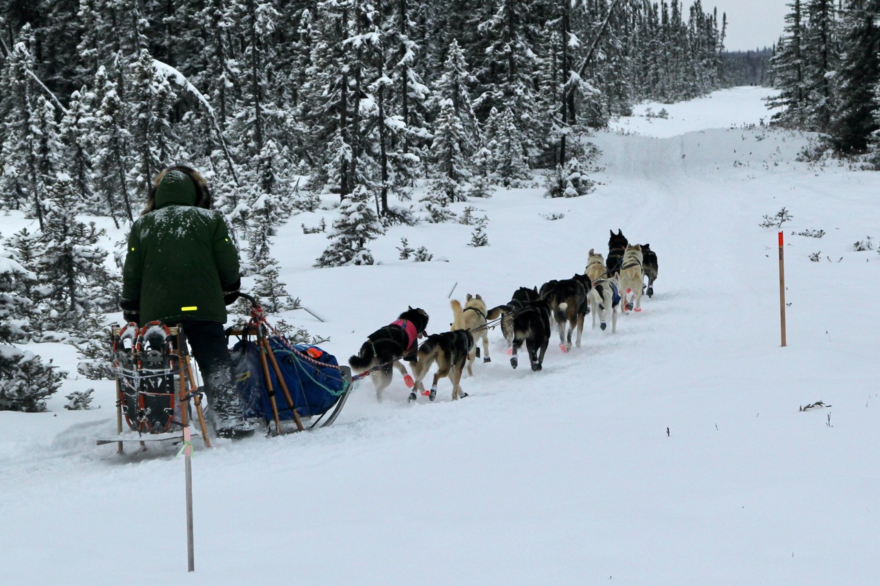 A Classroom Without Walls: Cardinal Directions and the Iditarod – Iditarod