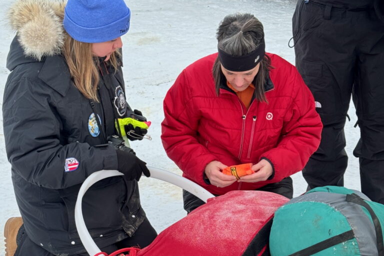 GPS Tracker – Iditarod