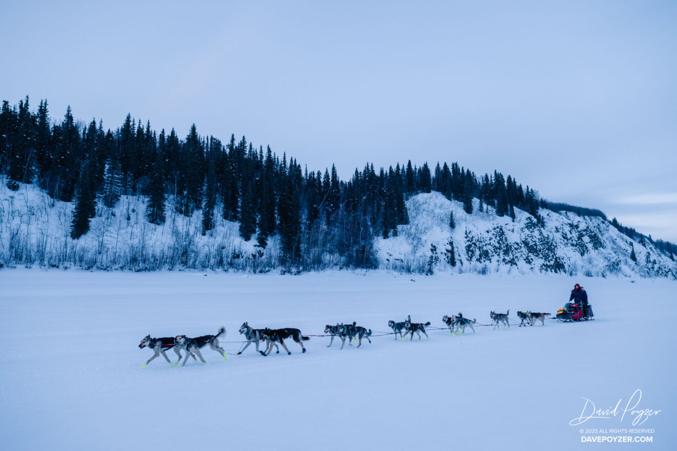 Rookie Musher Jenny Roddewig scratches at the White Mountain checkpoint ...