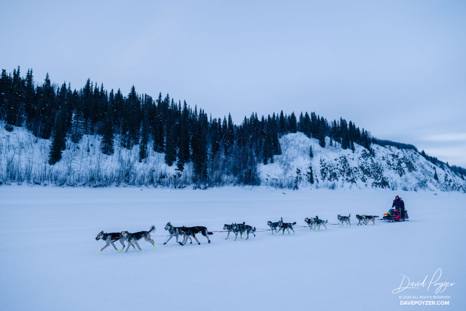 Rookie Musher Jenny Roddewig scratches at the White Mountain checkpoint ...