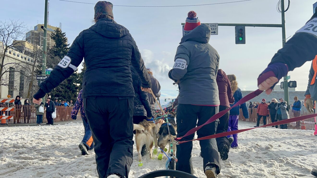Beneath the Northern Sky: Ceremonial Start 2025 – Iditarod