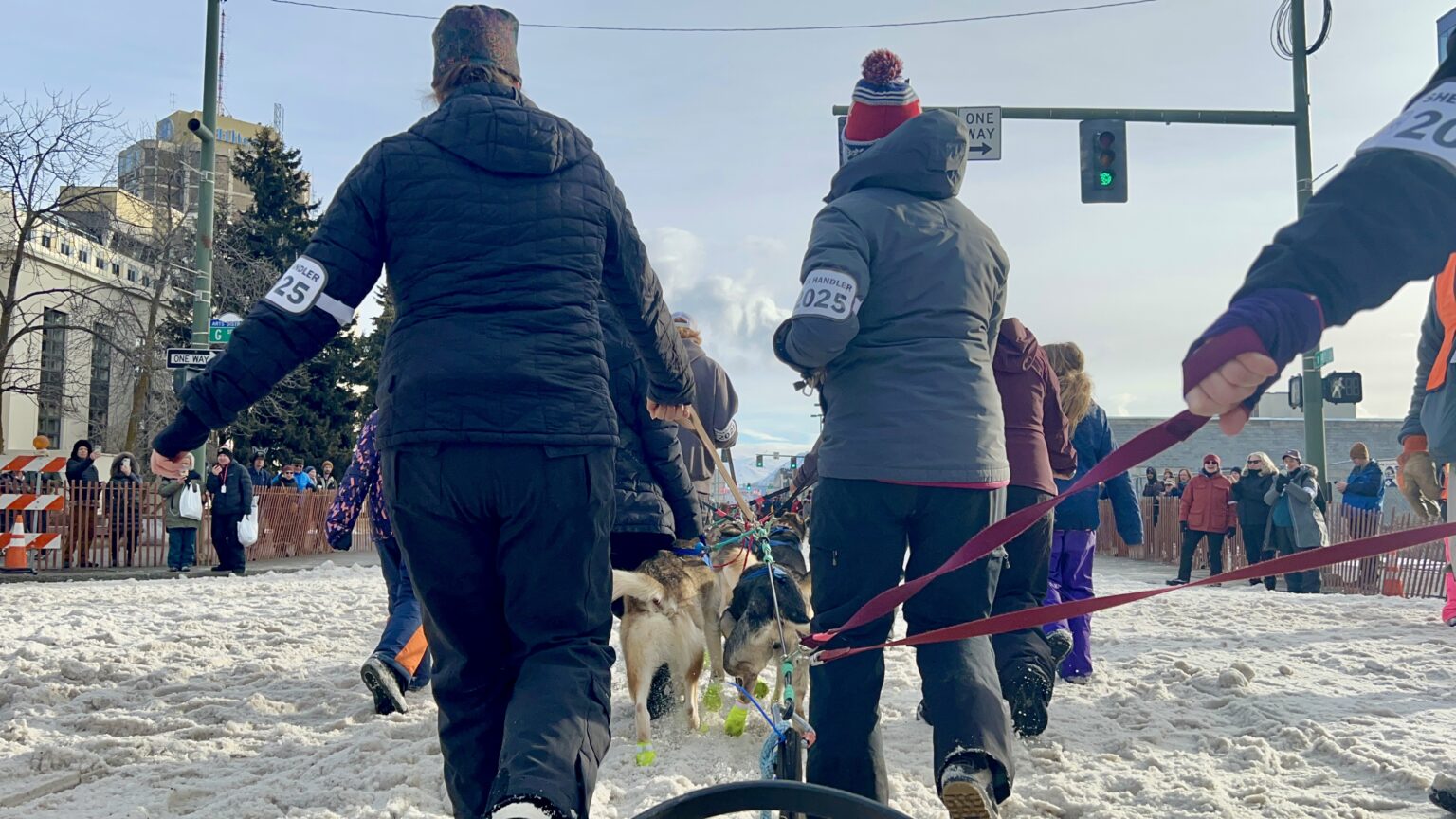 Beneath the Northern Sky: Ceremonial Start 2025 – Iditarod