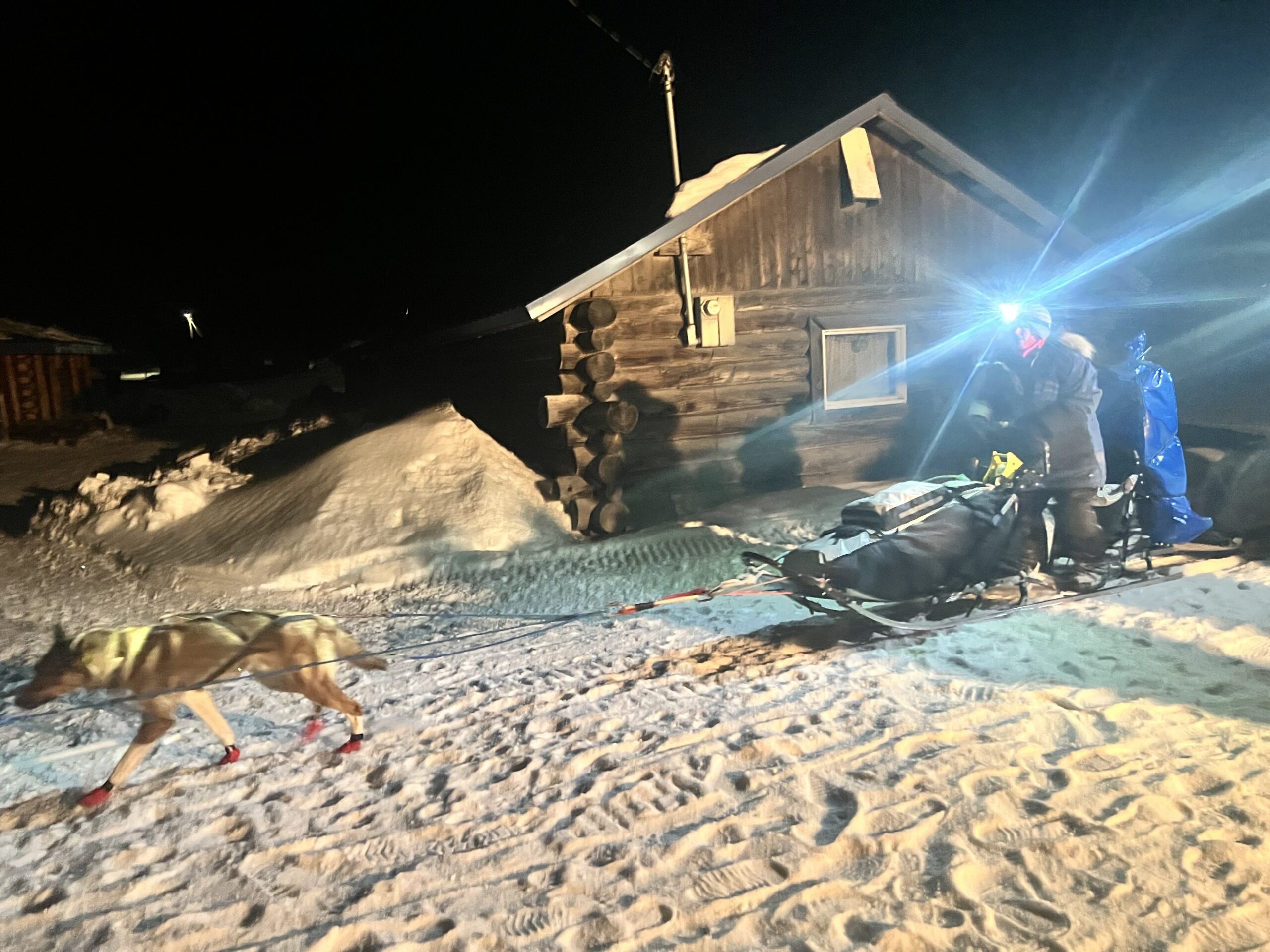 Beneath the Northern Sky: Snow, Checkpoint Efficiency, and Kaltag (Day ...