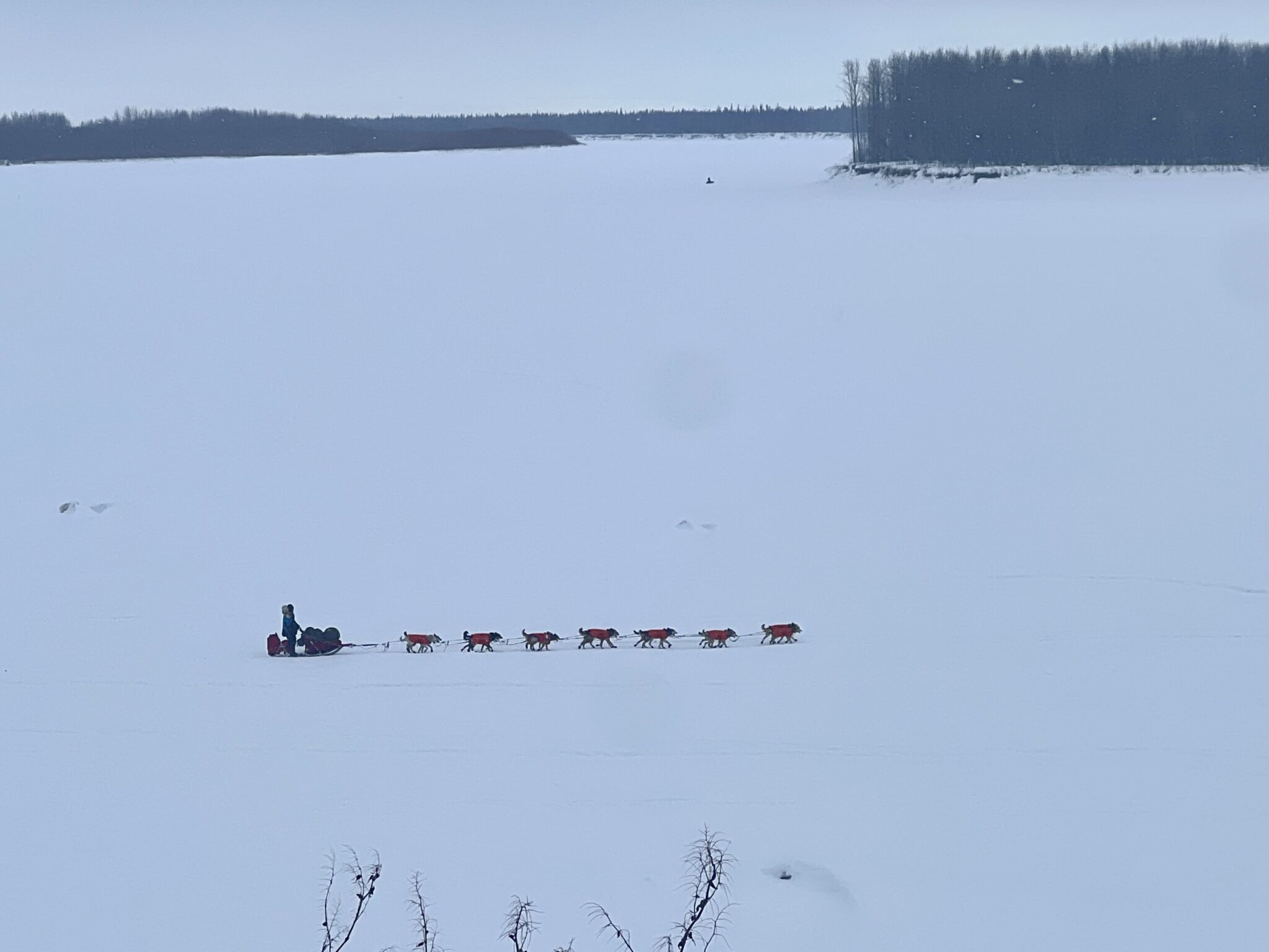 Beneath the Northern Sky: Special Awards (Day 7) – Iditarod